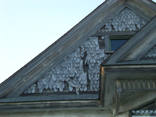 Julia Crouch DSCN0052